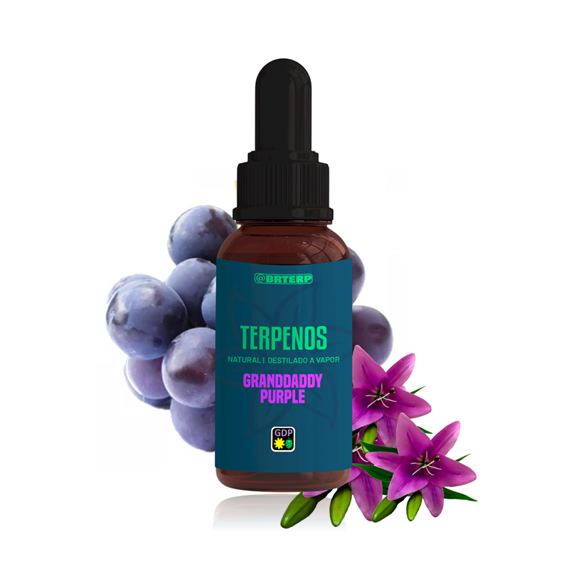 Terpenos Wax Liquidizer Grandaddy Purple – Gosesh Brasil Terpenos Wax Liquidizer Grandaddy Purple – Gosesh Brasil