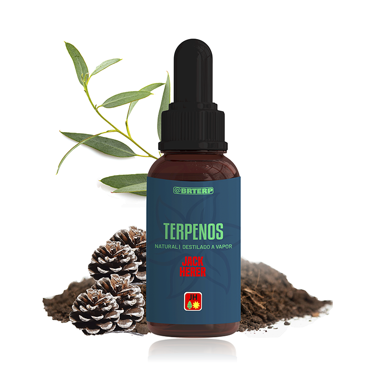 Terpenos Wax Liquidizer Jack Herer – Gosesh Brasil Terpenos Wax Liquidizer Jack Herer – Gosesh Brasil