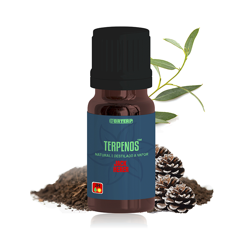 Terpenos Wax Liquidizer Lemon Haze – Gosesh Brasil Terpenos Wax Liquidizer Lemon Haze – Gosesh Brasil