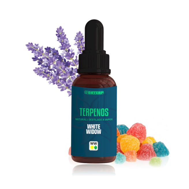Terpenos Wax Liquidizer – Gosesh Brasil Terpenos Wax Liquidizer – Gosesh Brasil